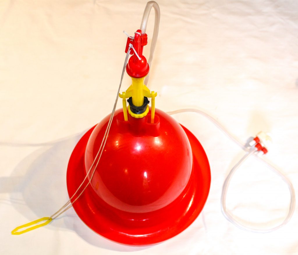 Bebedero Automatico para Aves, diámetro 38 cms. • Aves Vilcún